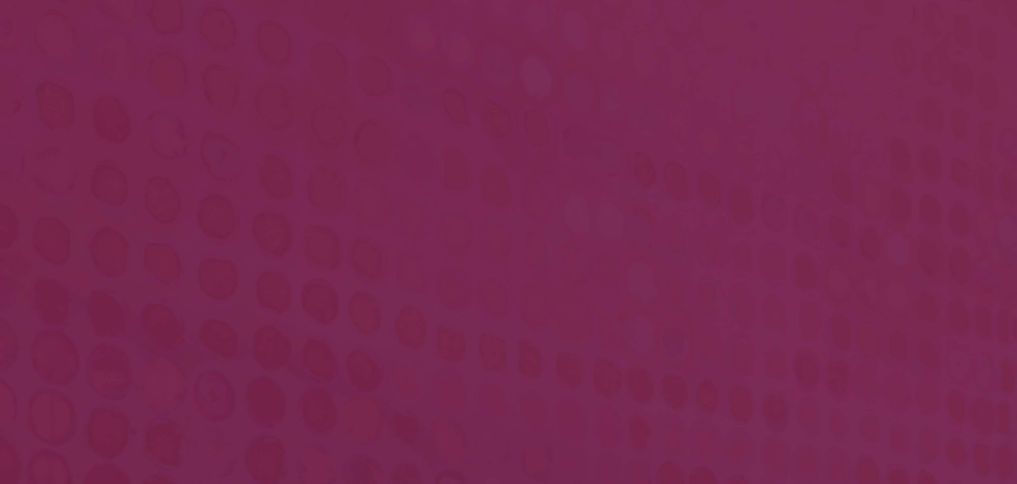 Divorce Attorney for Women Jacksonville FL | Florida Women's Law Group