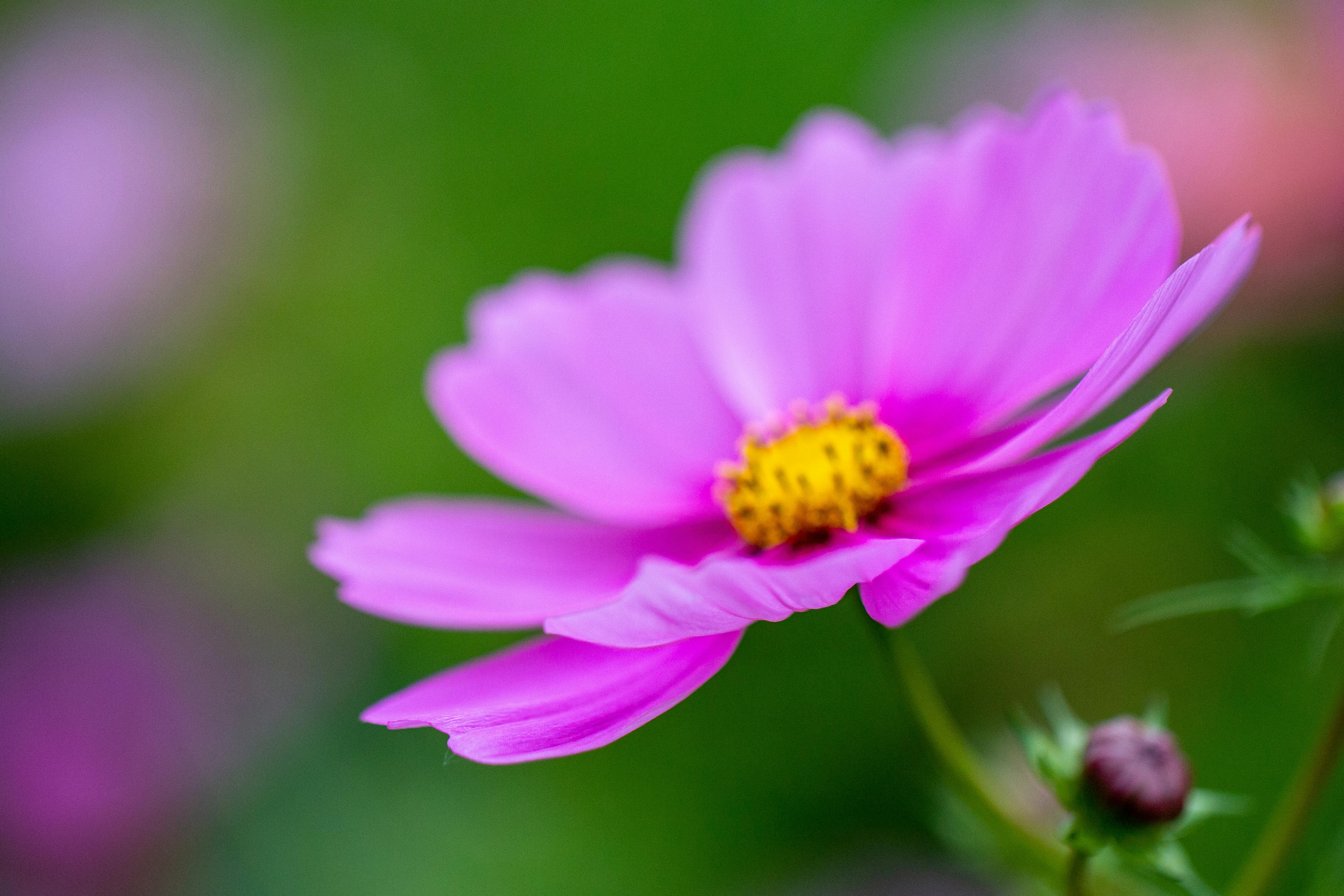 Test Page - Suboxone Clinics