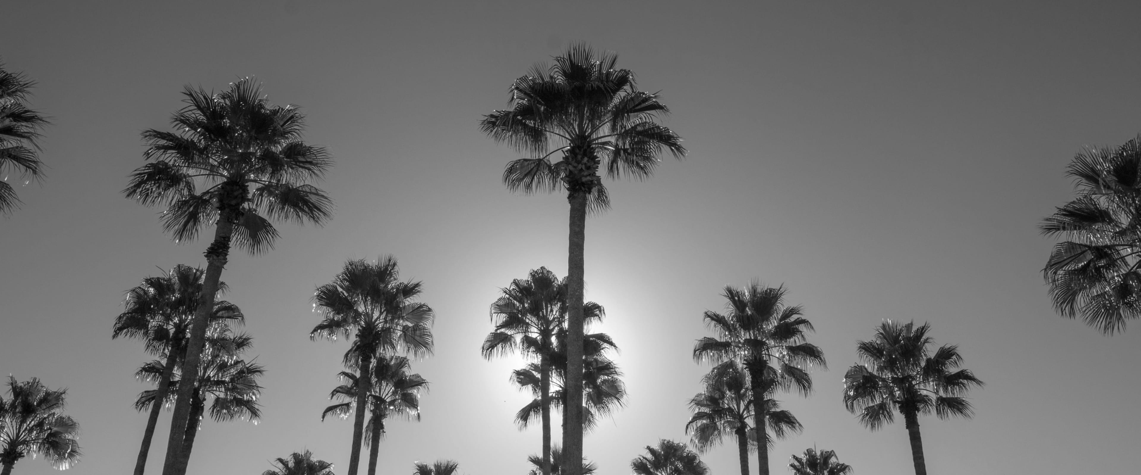 Alfredo Archilla MD | Florida ENT Associates