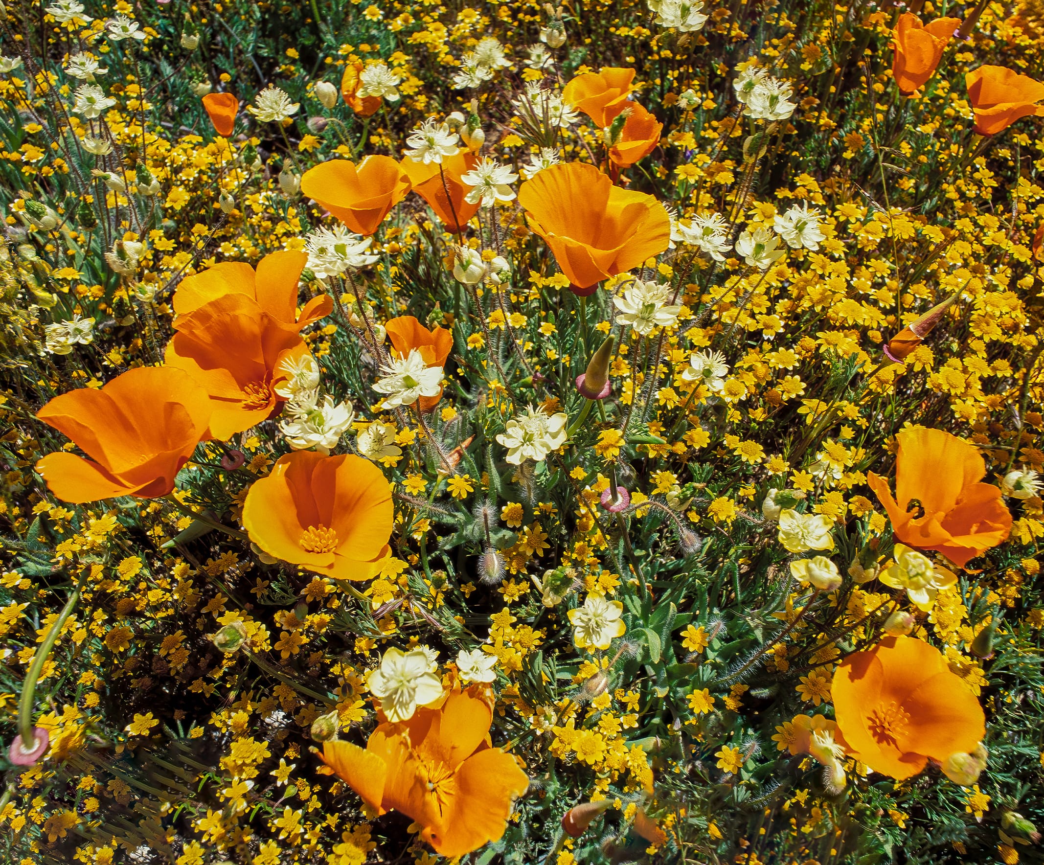 For Our Out of Town Patients – Aftercare, Hotels, Transportation