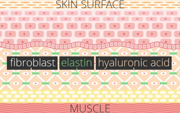 Skin That Bounces Back!