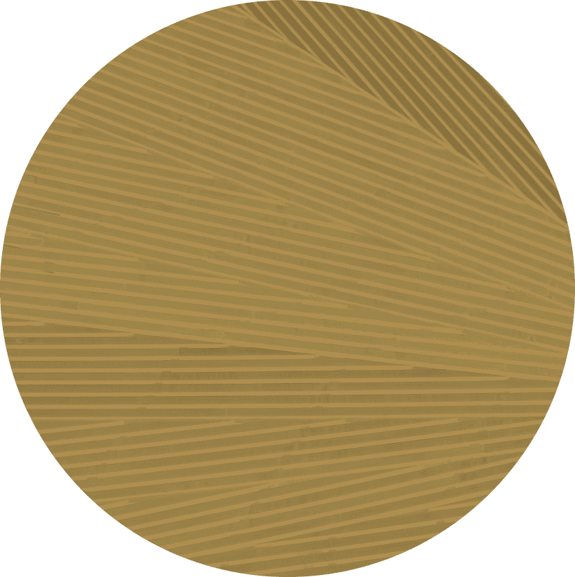 Boxy or Round Nose Tip (Bulbous Nose)