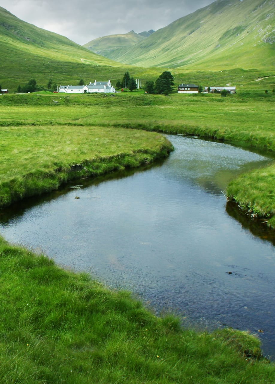 The Elanic Approach | Elanic Medical