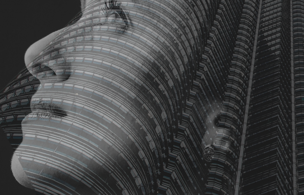 The Reality of Aesthetic Revisions | Faces Plus