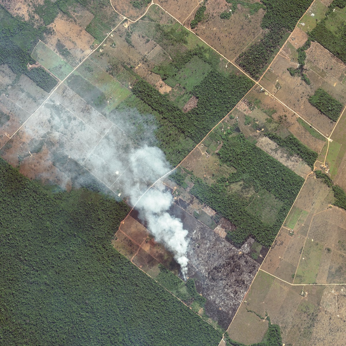 The unintended side effects of environmental policies