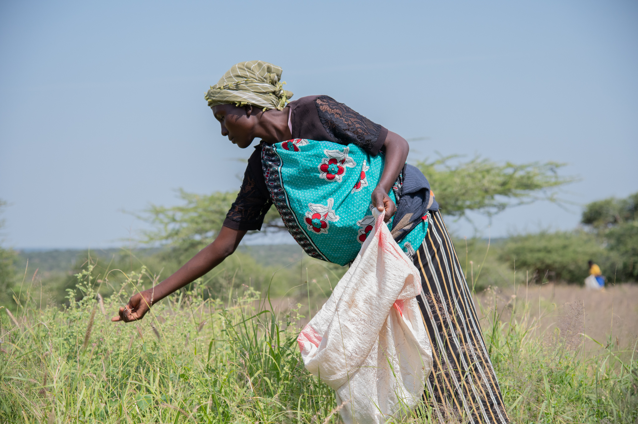 The Annual Report 2024 is here! — Wyss Academy