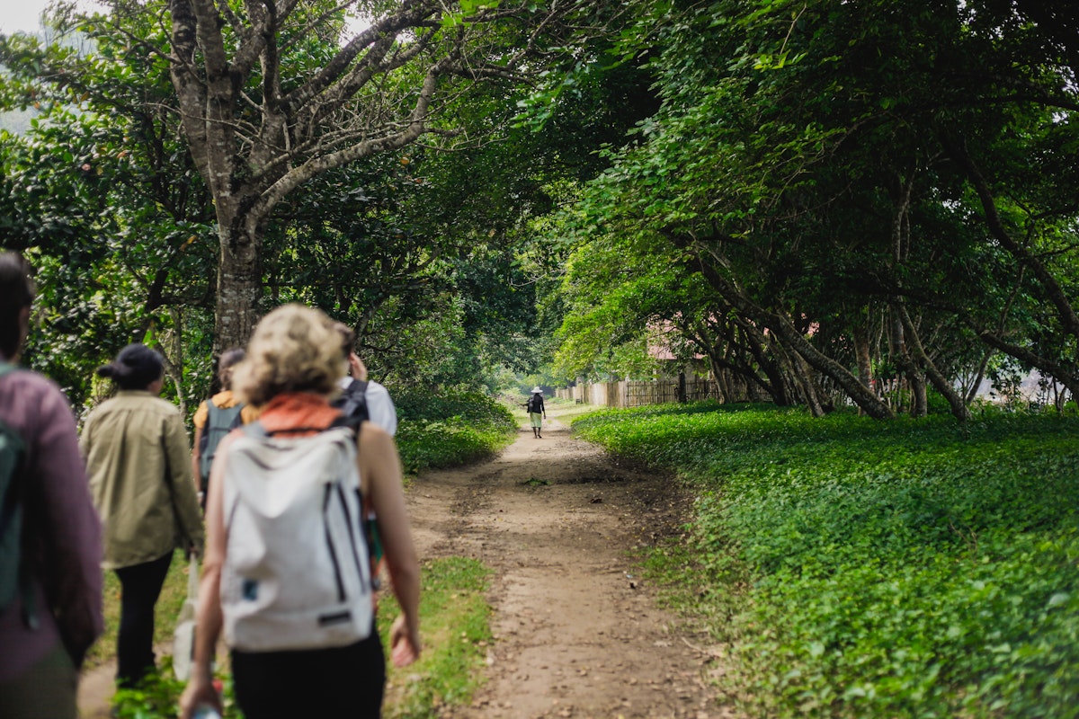 Team — Wyss Academy