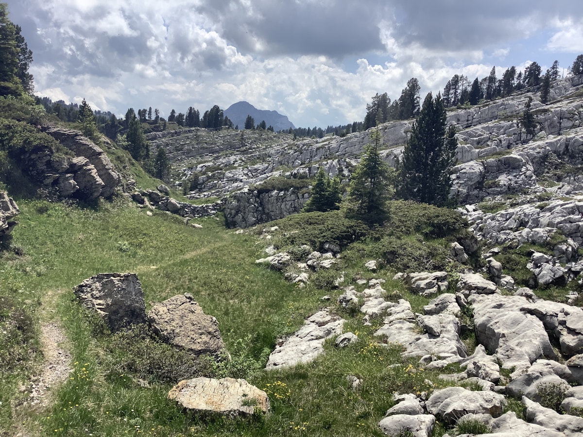 Hydrology of the Bernese fens — Wyss Academy