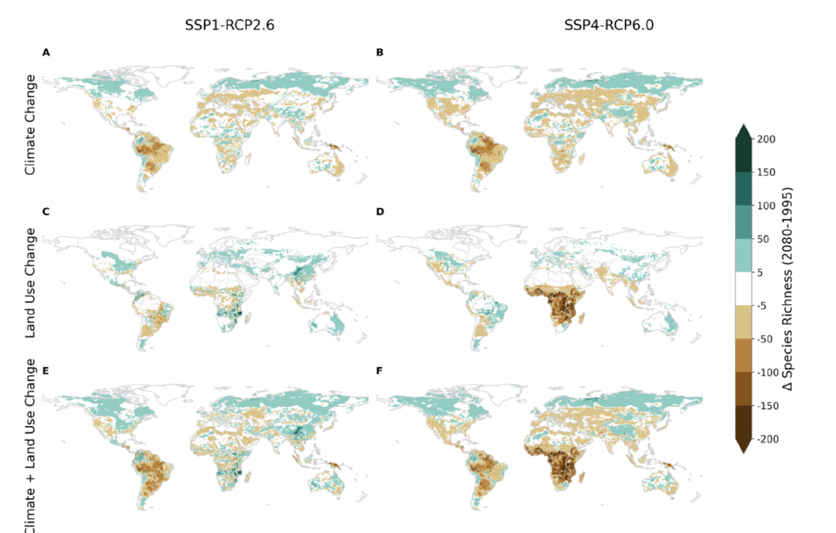 Klimawandel und Landnutzungsänderungen werden die globale Vielfalt der ...