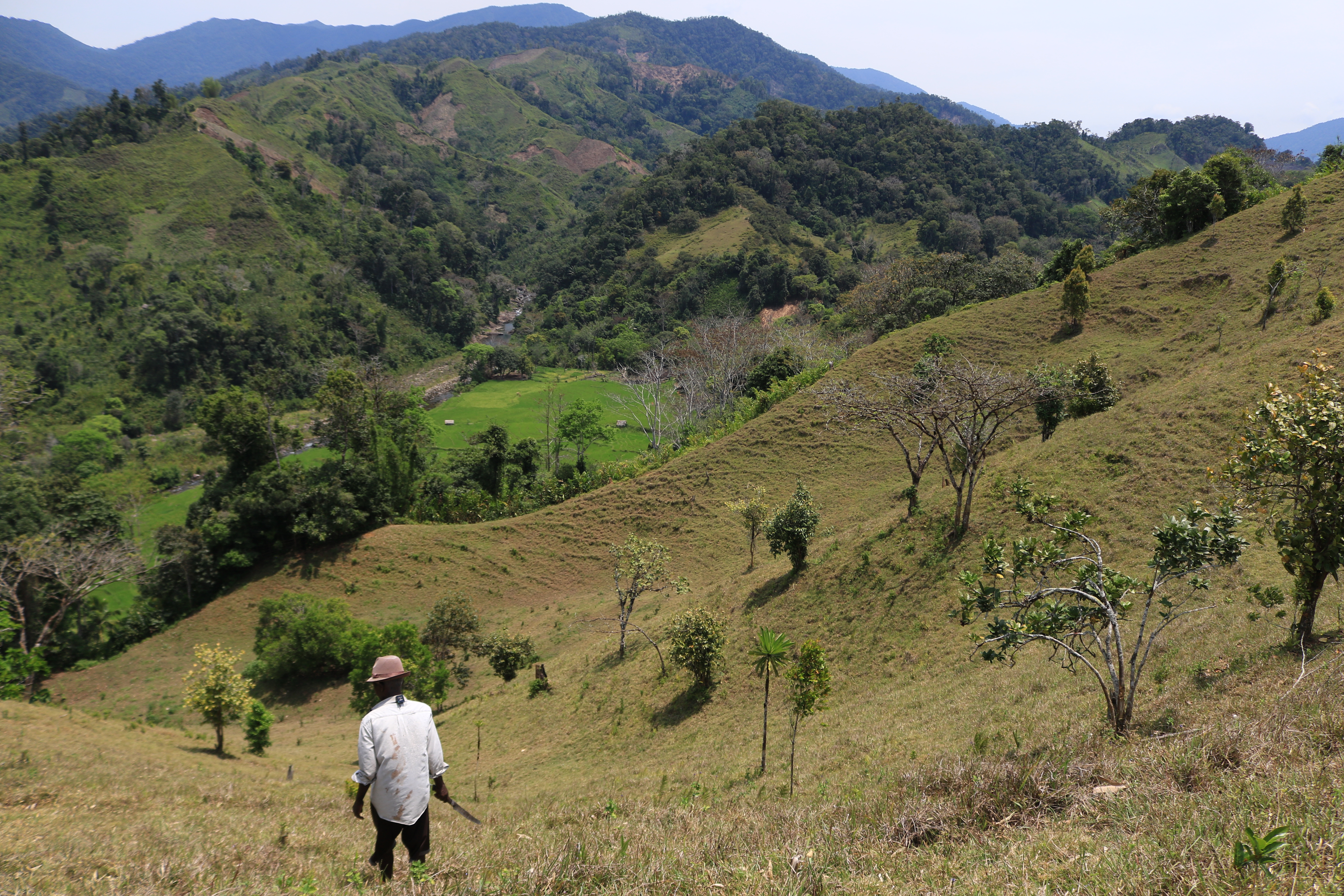 Tany (soil) and traditional knowledge: Navigating relational values ...