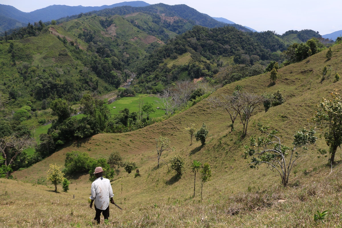 Tany (soil) and traditional knowledge: Navigating relational values ...