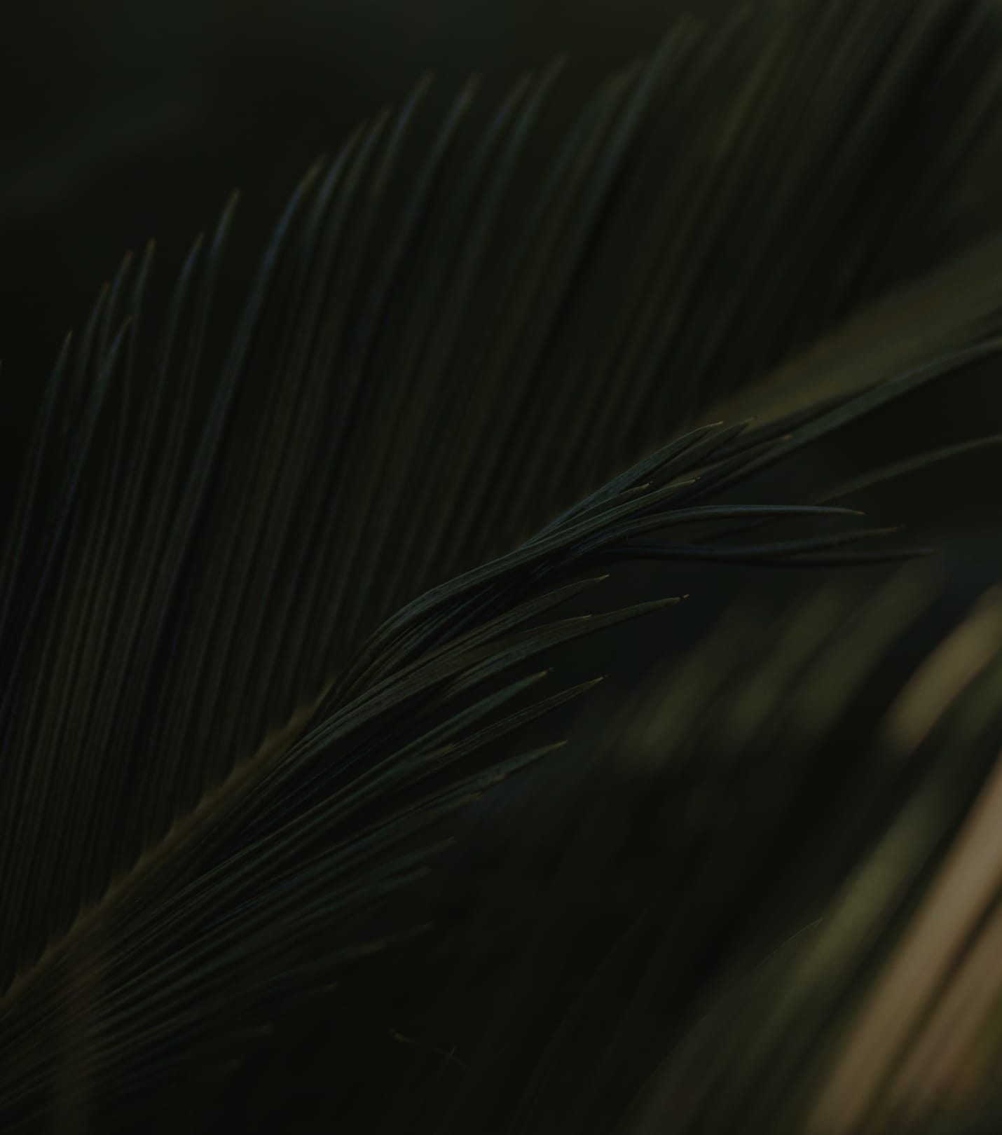 Marc J. Salzman, MD | Bowtique Med Spa