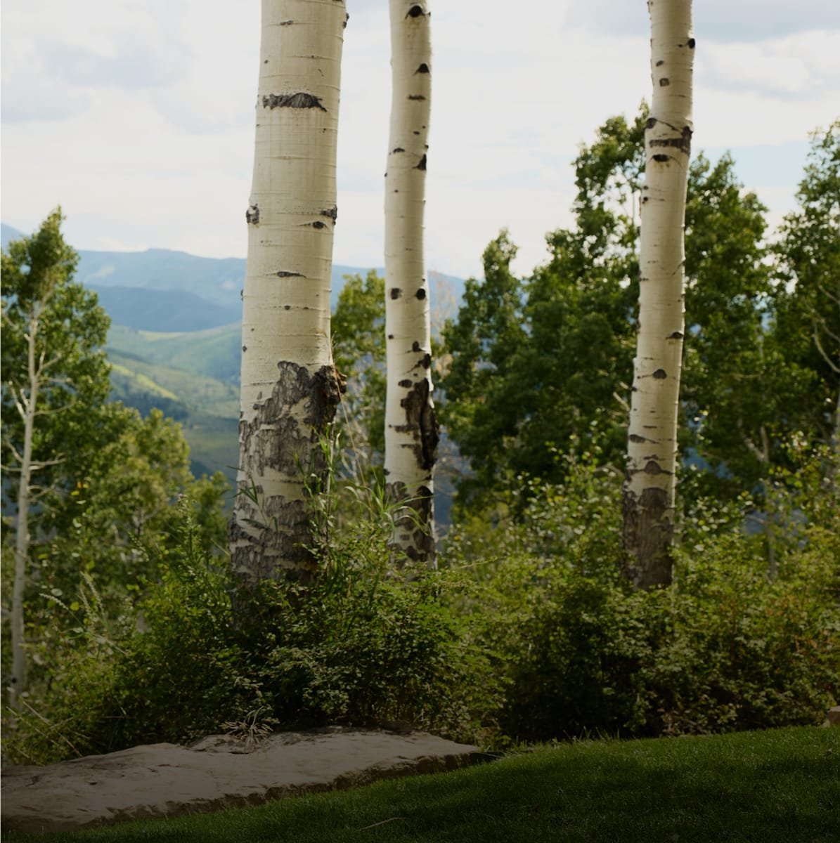 Plastic and Reconstructive Surgery in Denver, CO | On Pointe Plastic ...