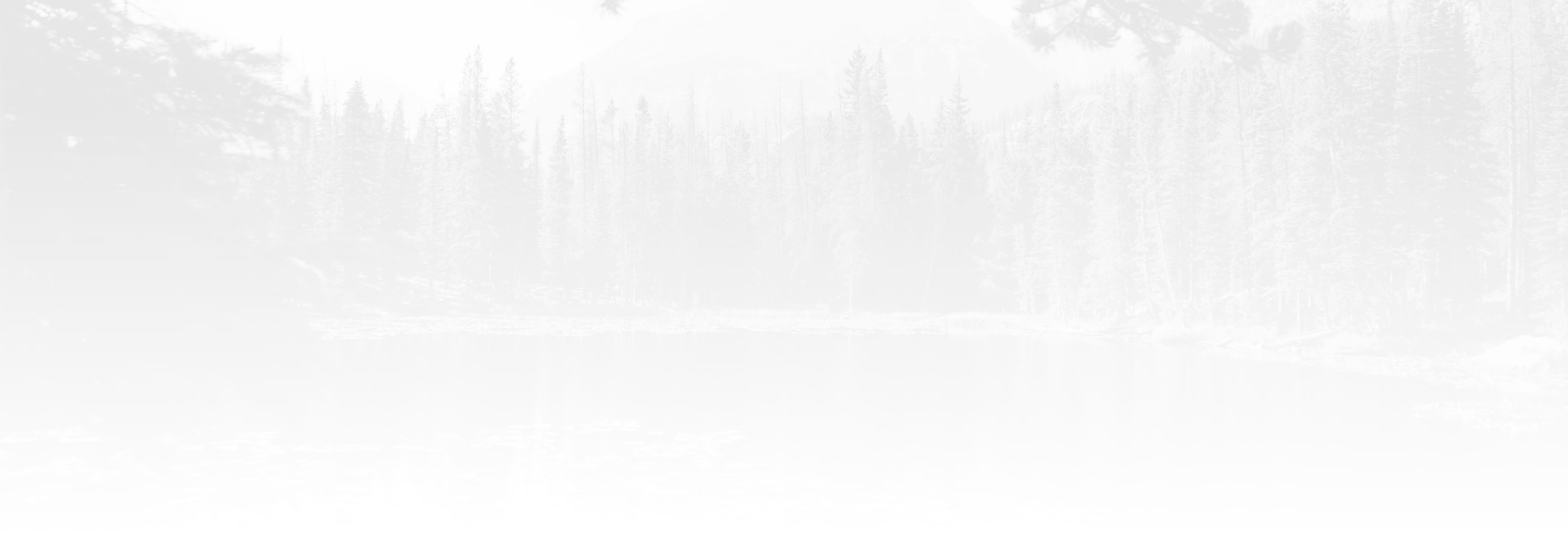 Plastic and Reconstructive Surgery in Denver, CO | On Pointe Plastic ...