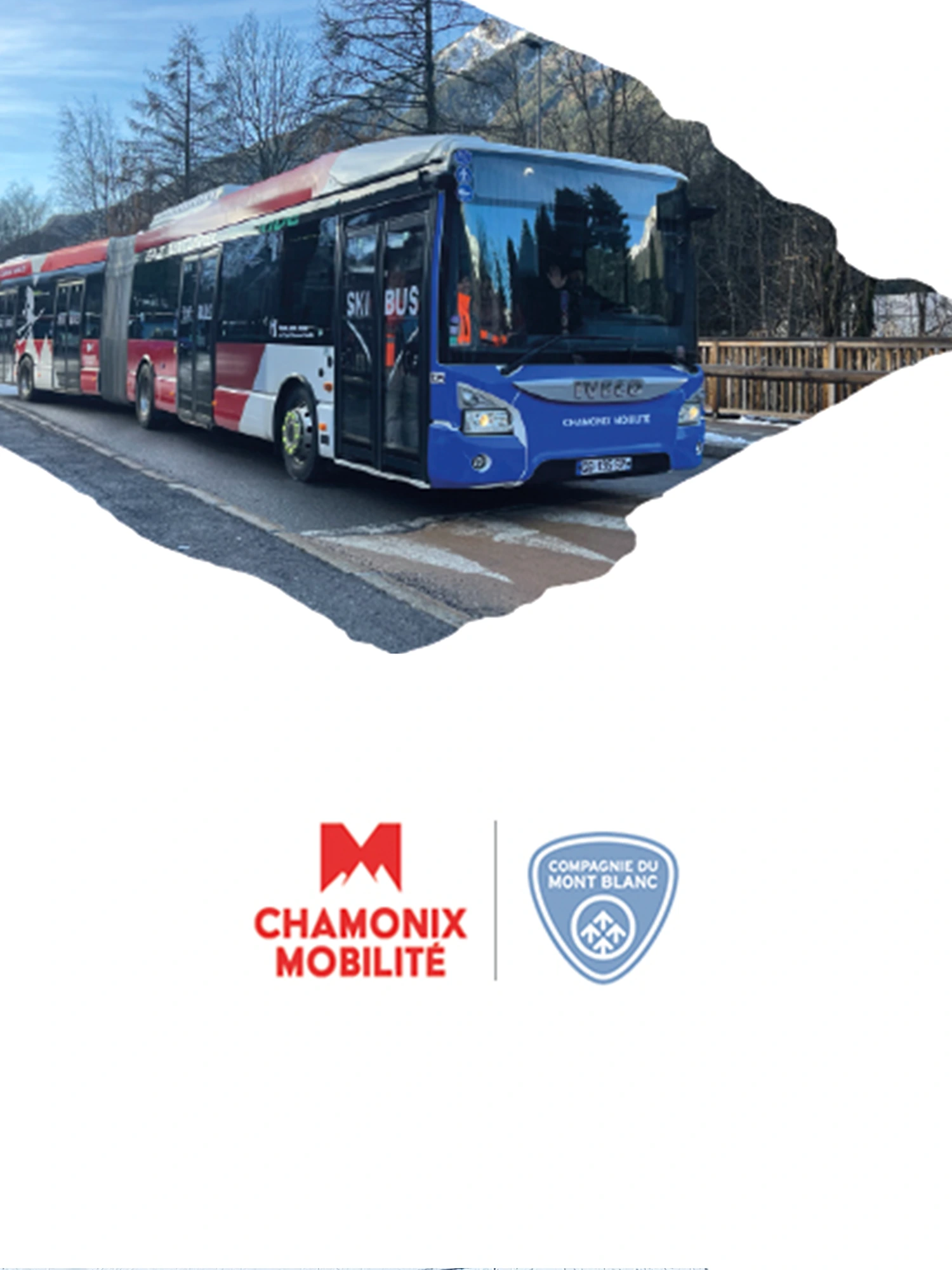 Forfait de ski CHAMONIX Le Pass - Mont-Blanc