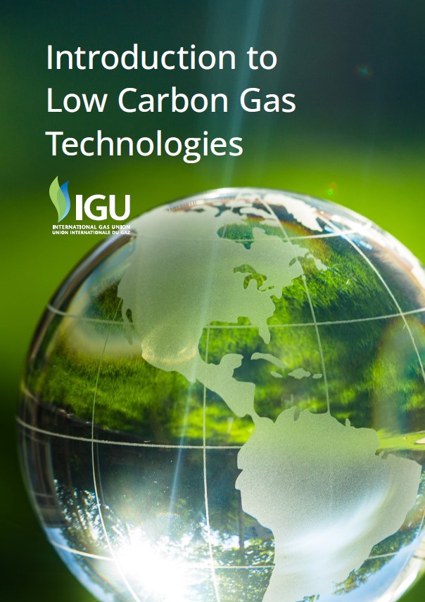 Introduction to Low Carbon Gas Technologies | International Gas Union