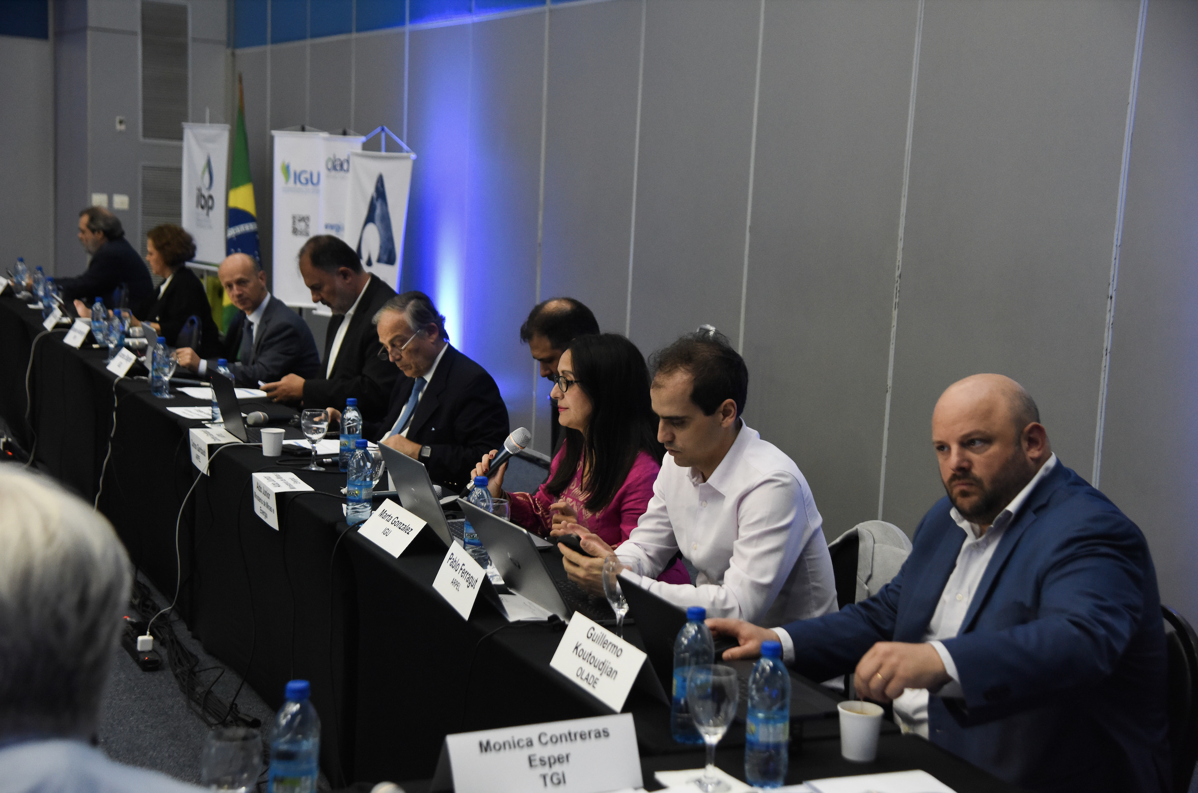 First Regional Stakeholder Dialogue in the Latin America and the ...
