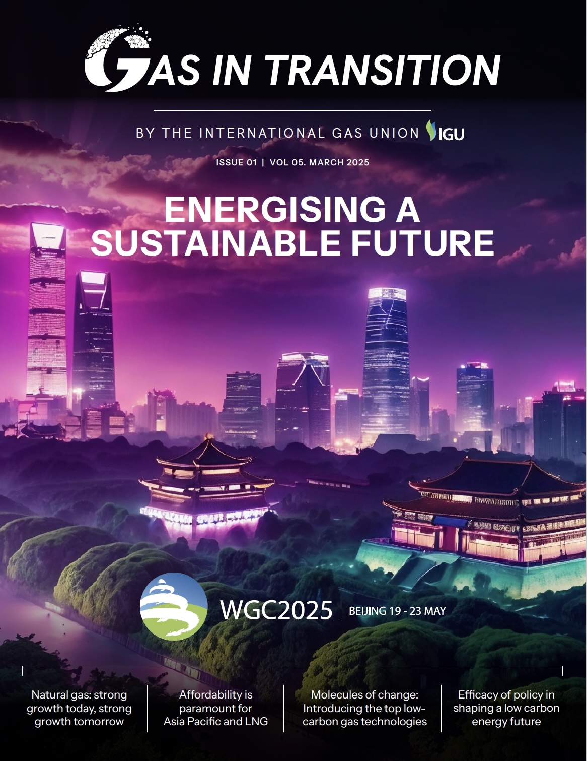 Gas in Transition - March 2025 | International Gas Union