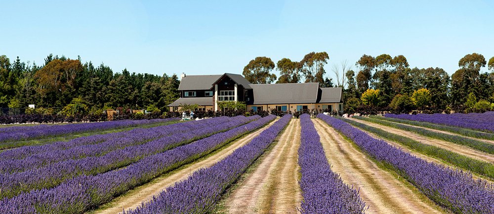 Farmers Corner Souvenir Shop & Restaurant