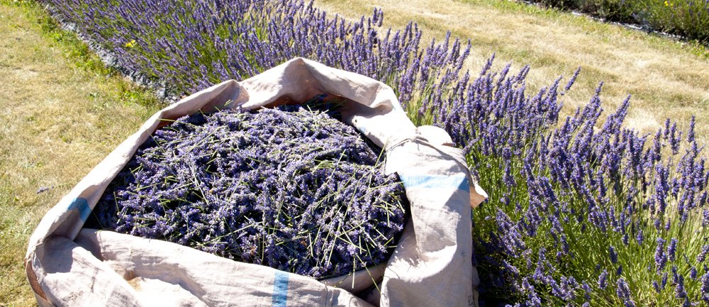 Farmers Corner Souvenir Shop & Restaurant