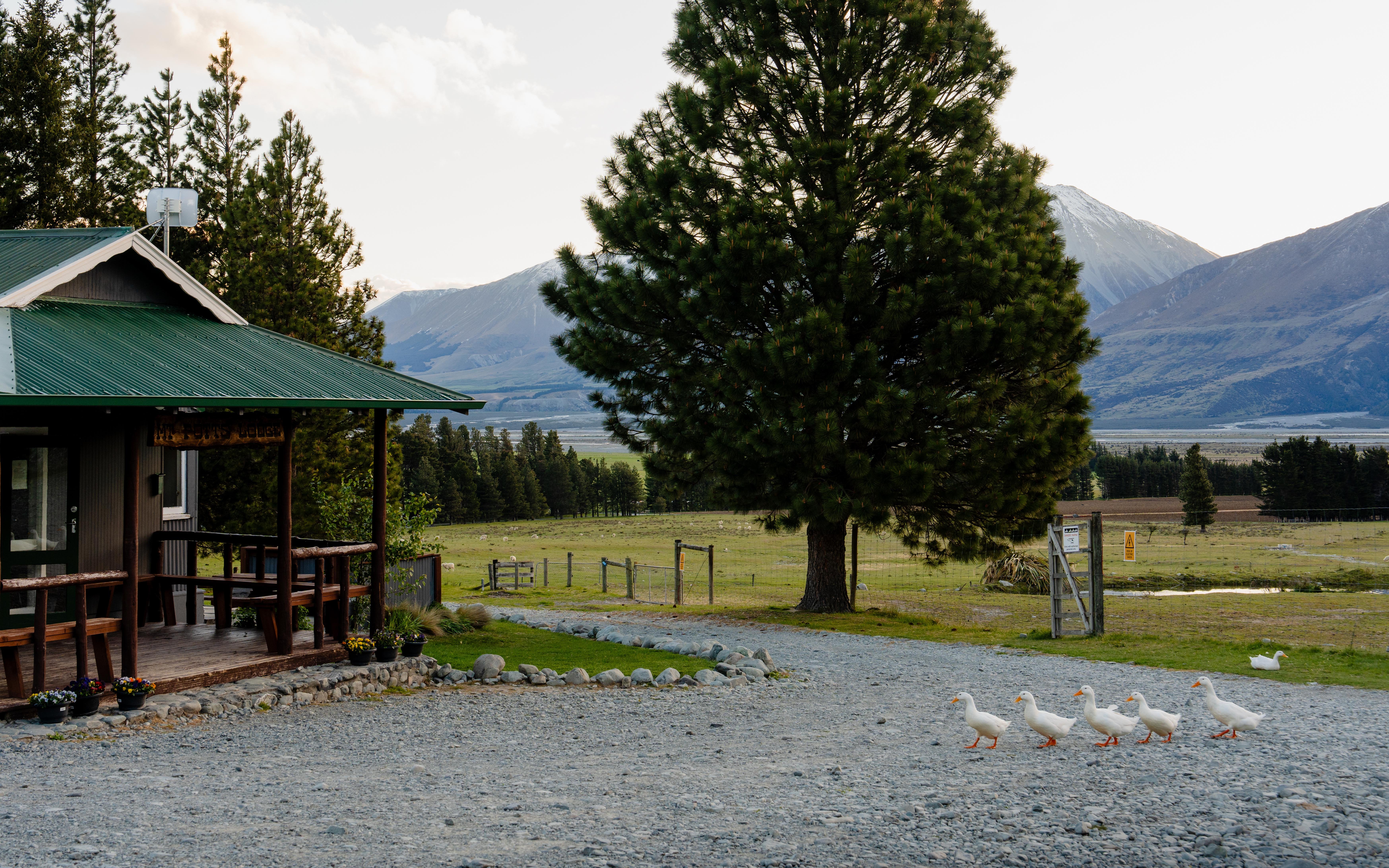 Mt Potts Lodge