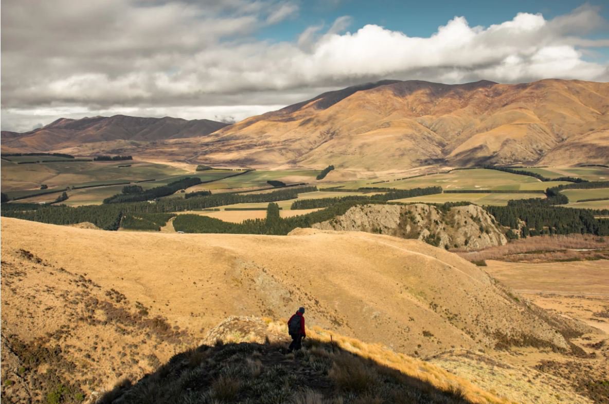 Mid Canterbury - check out accommodation, activities & more