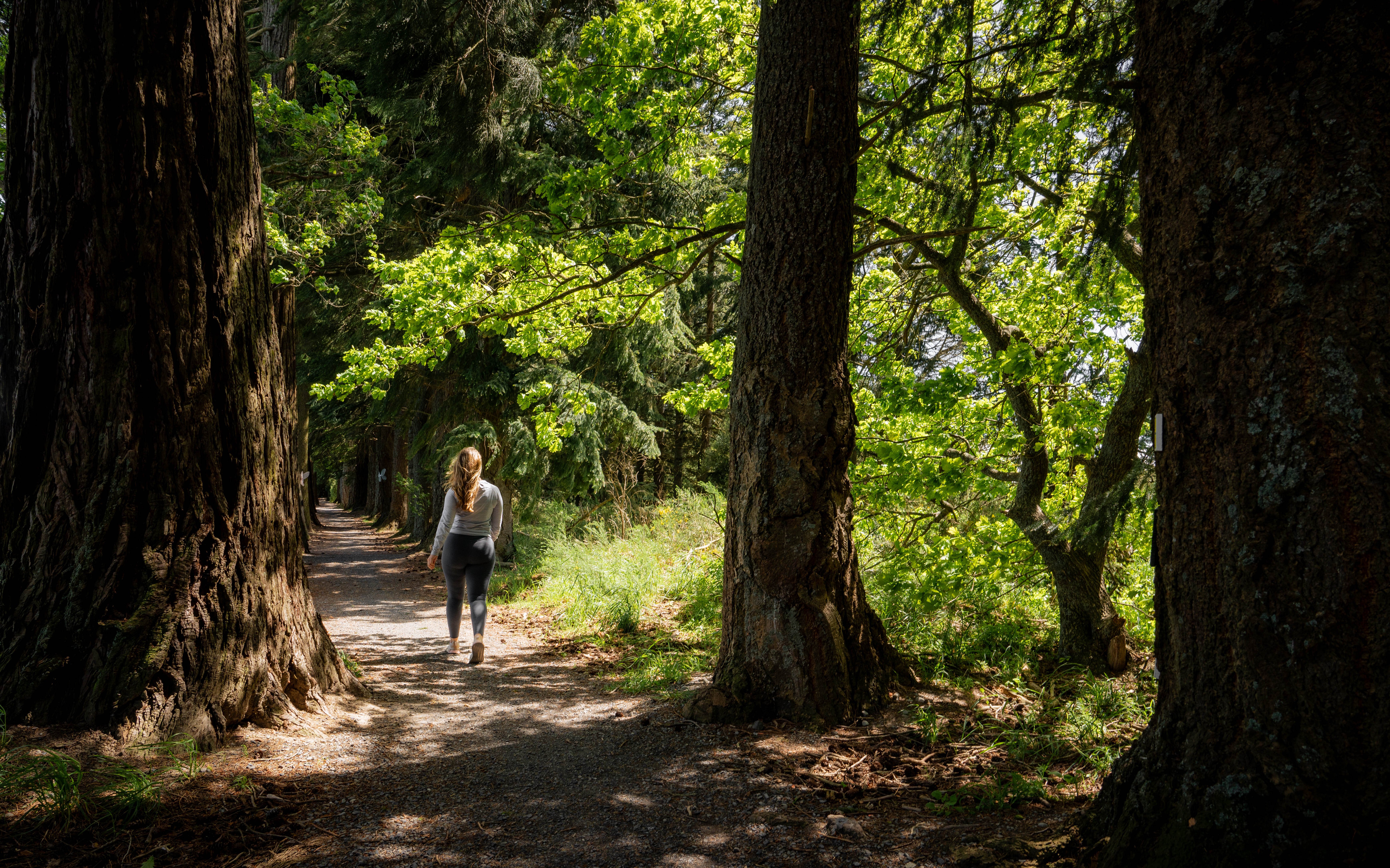 Itinerary: 2 Night City Escape