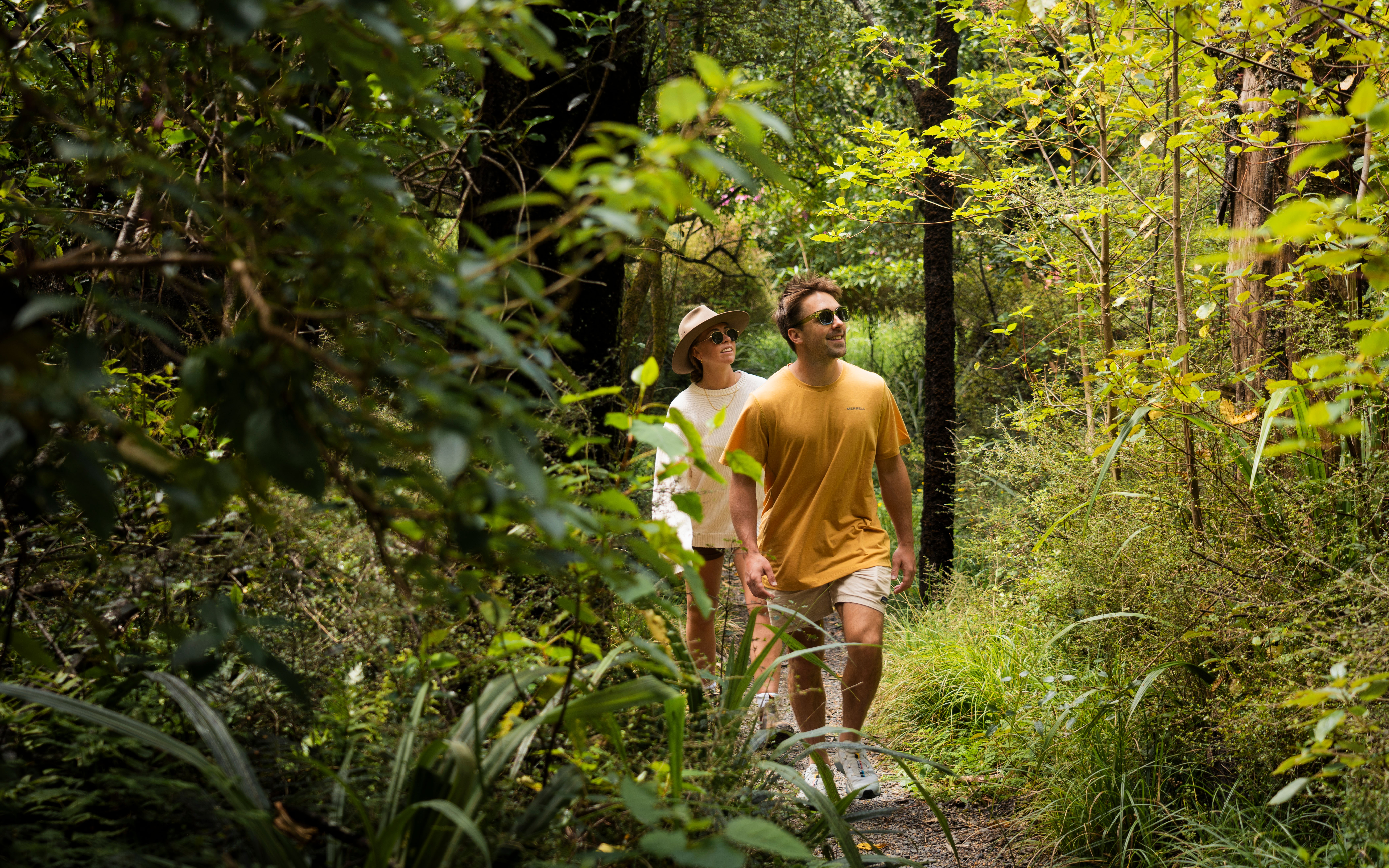 Awa Awa Rata Reserve