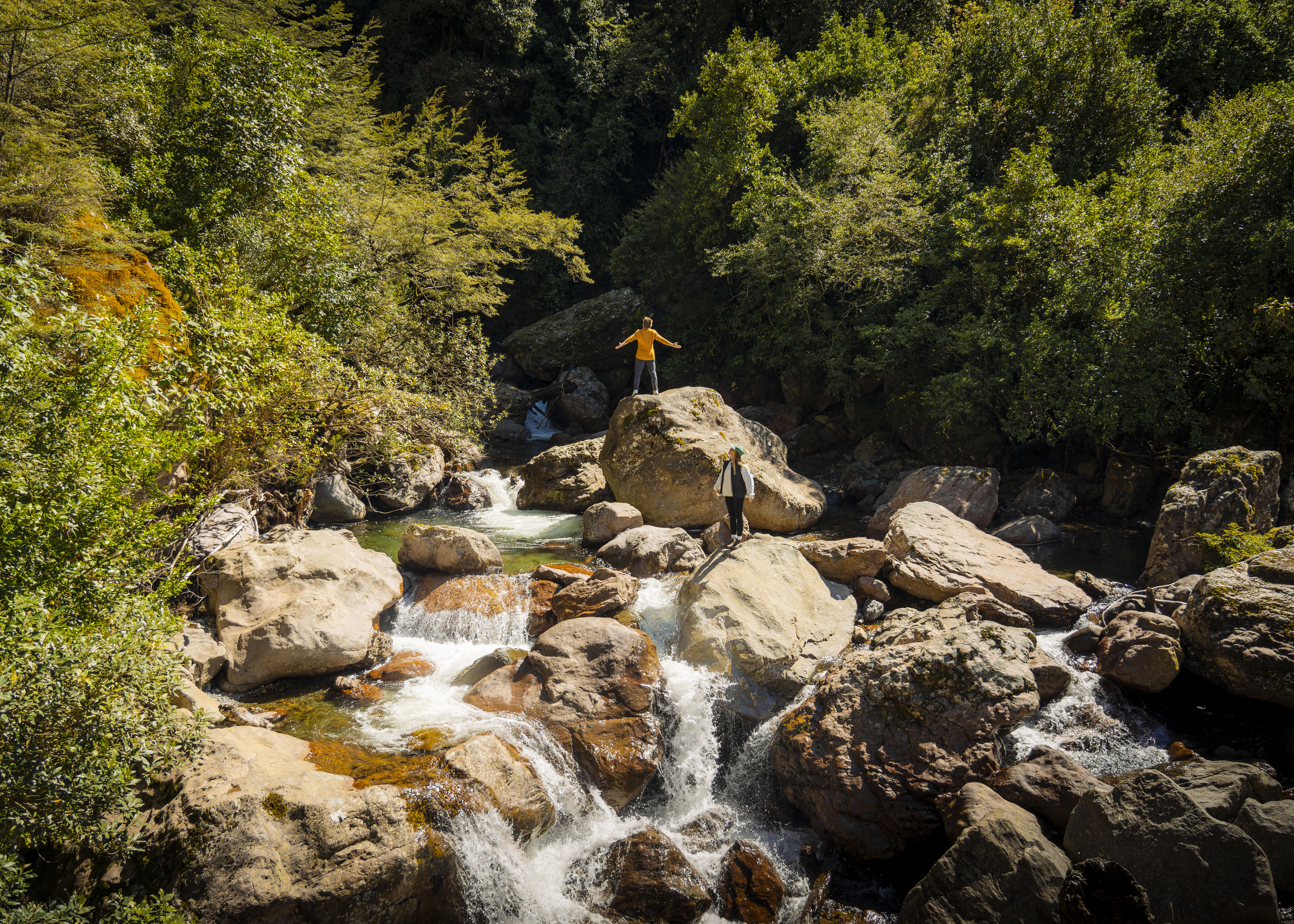 Sharplin Falls