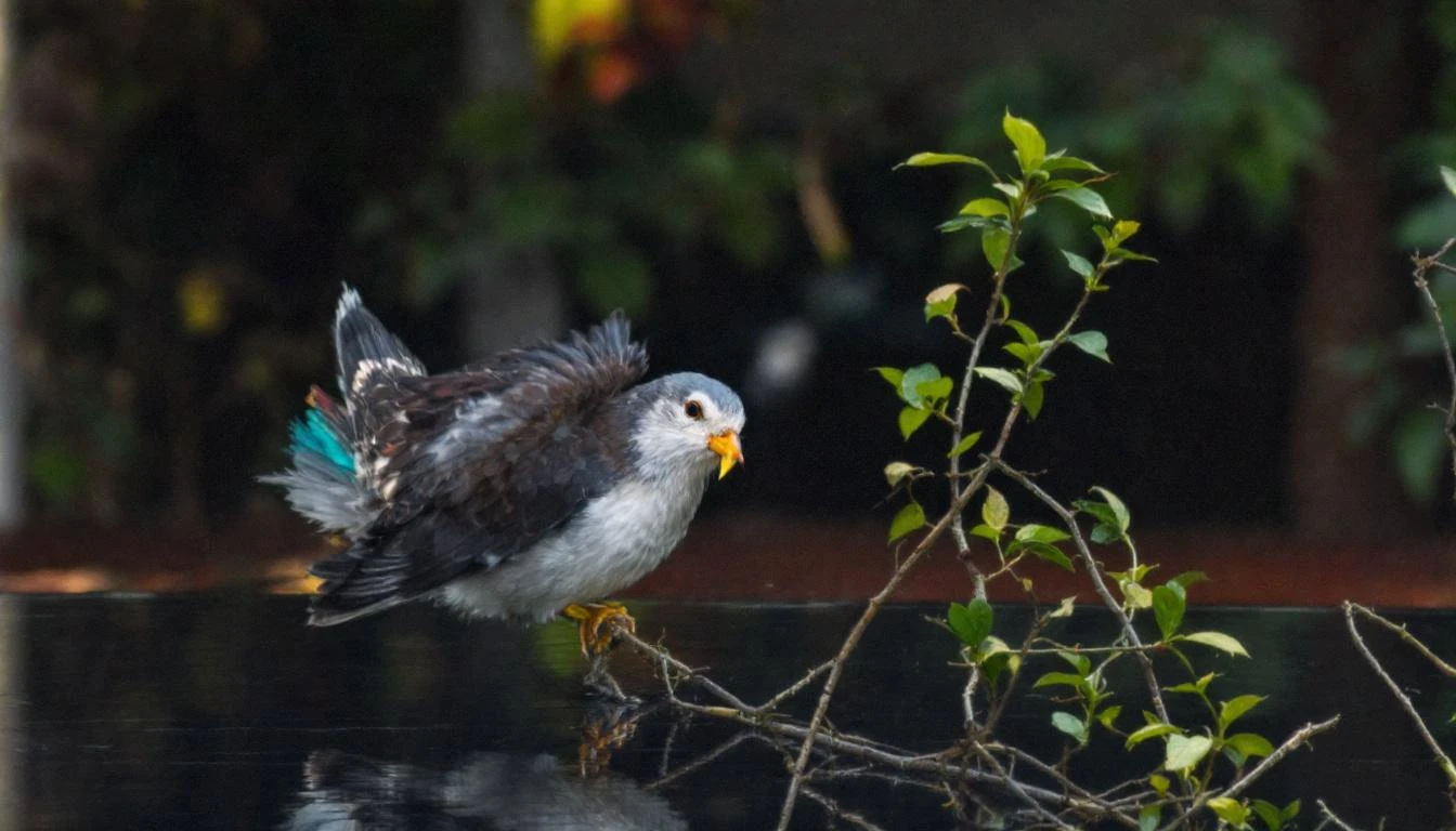 Can WordPress Sites Be Made Accessible? A Complete WCAG Guide | TestParty