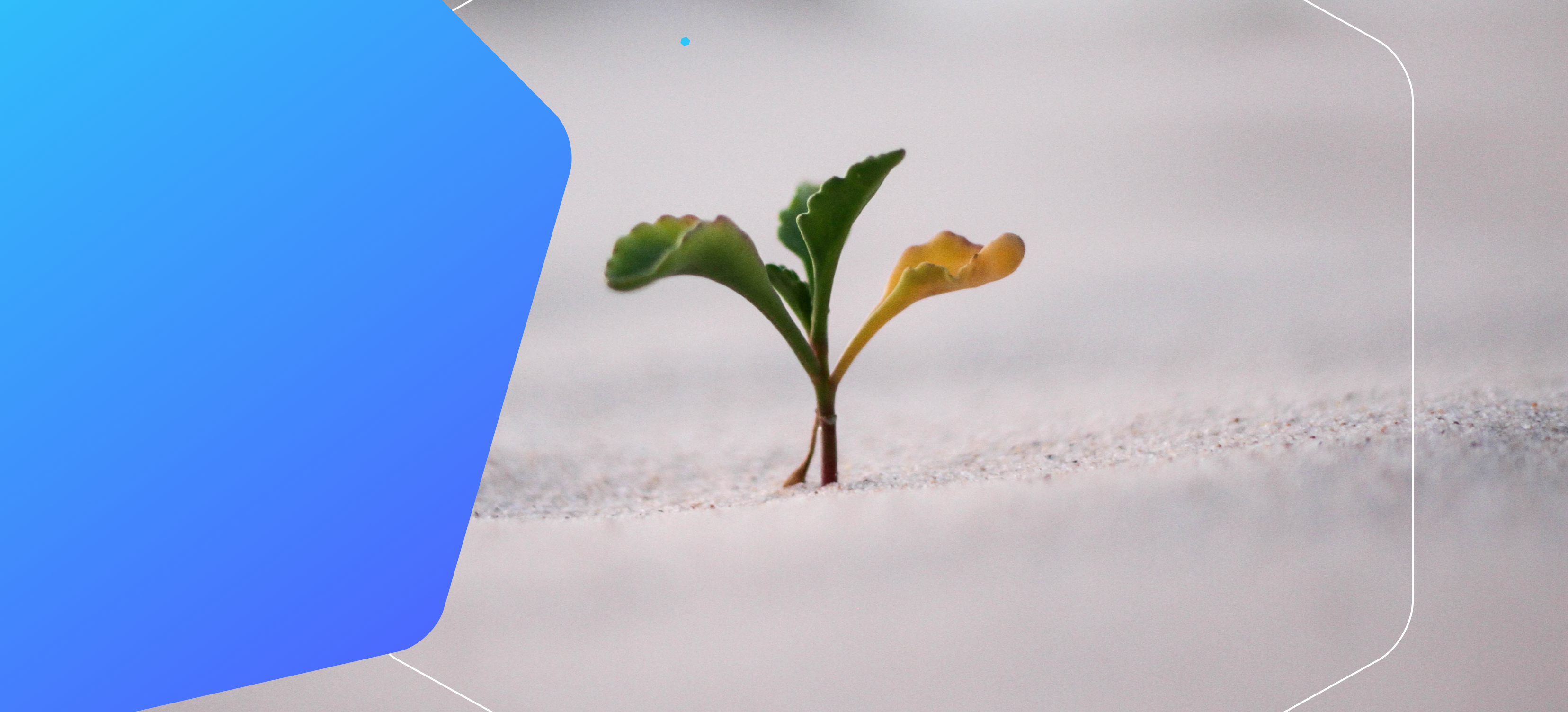 Tech Career Growth Roadmap: From Entry-Level to Senior Position