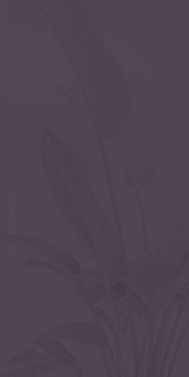 What Is a Shave Skin Biopsy? A Quick, Accurate Tool for Diagnosing Skin ...