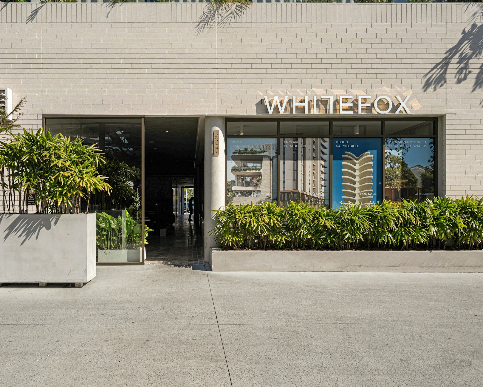 Sam Beechey | Senior Advisor & Negotiator Gold Coast | WHITEFOX Gold Coast