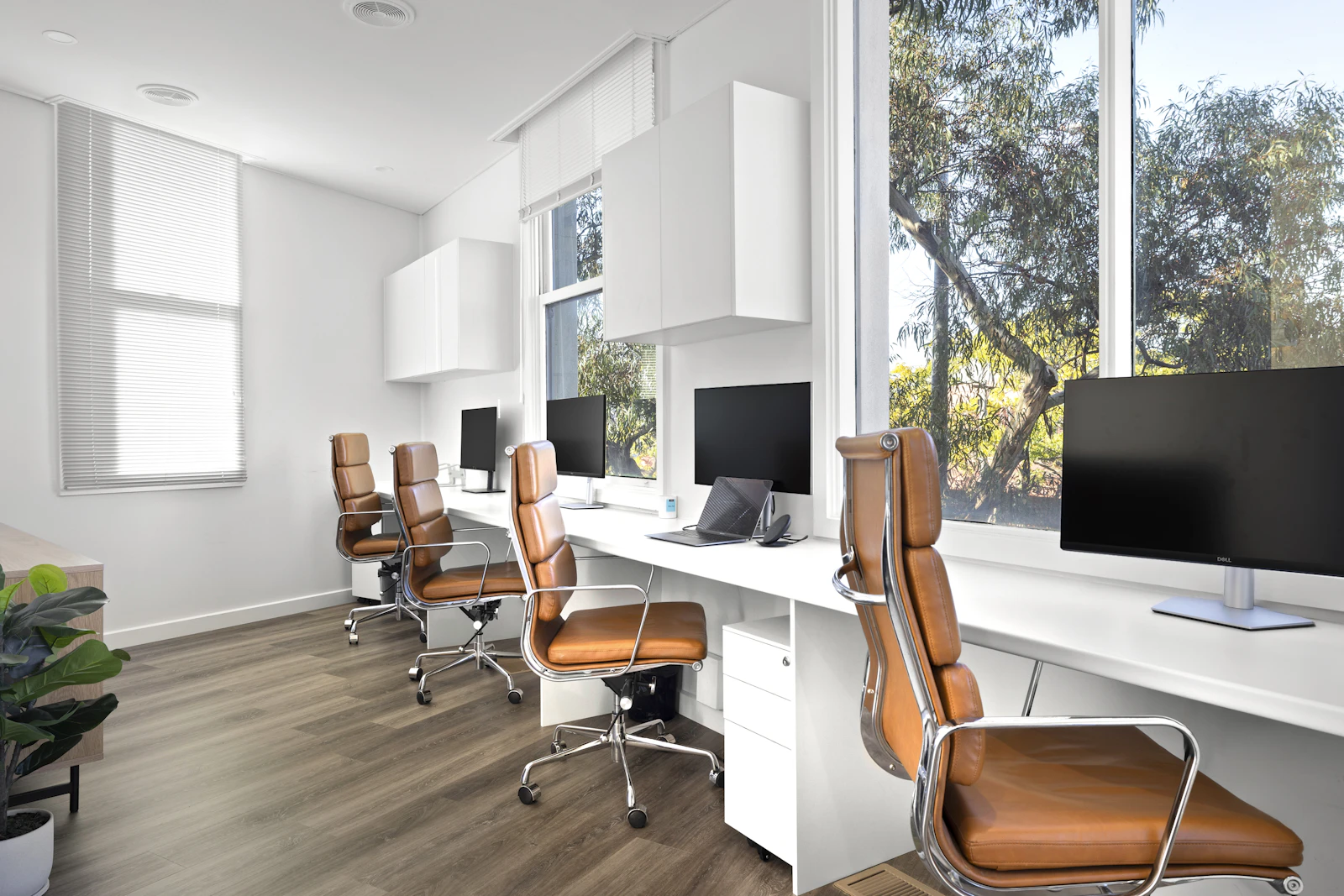 Our Offices | WHITEFOX Real Estate Australia & New Zealand | WHITEFOX