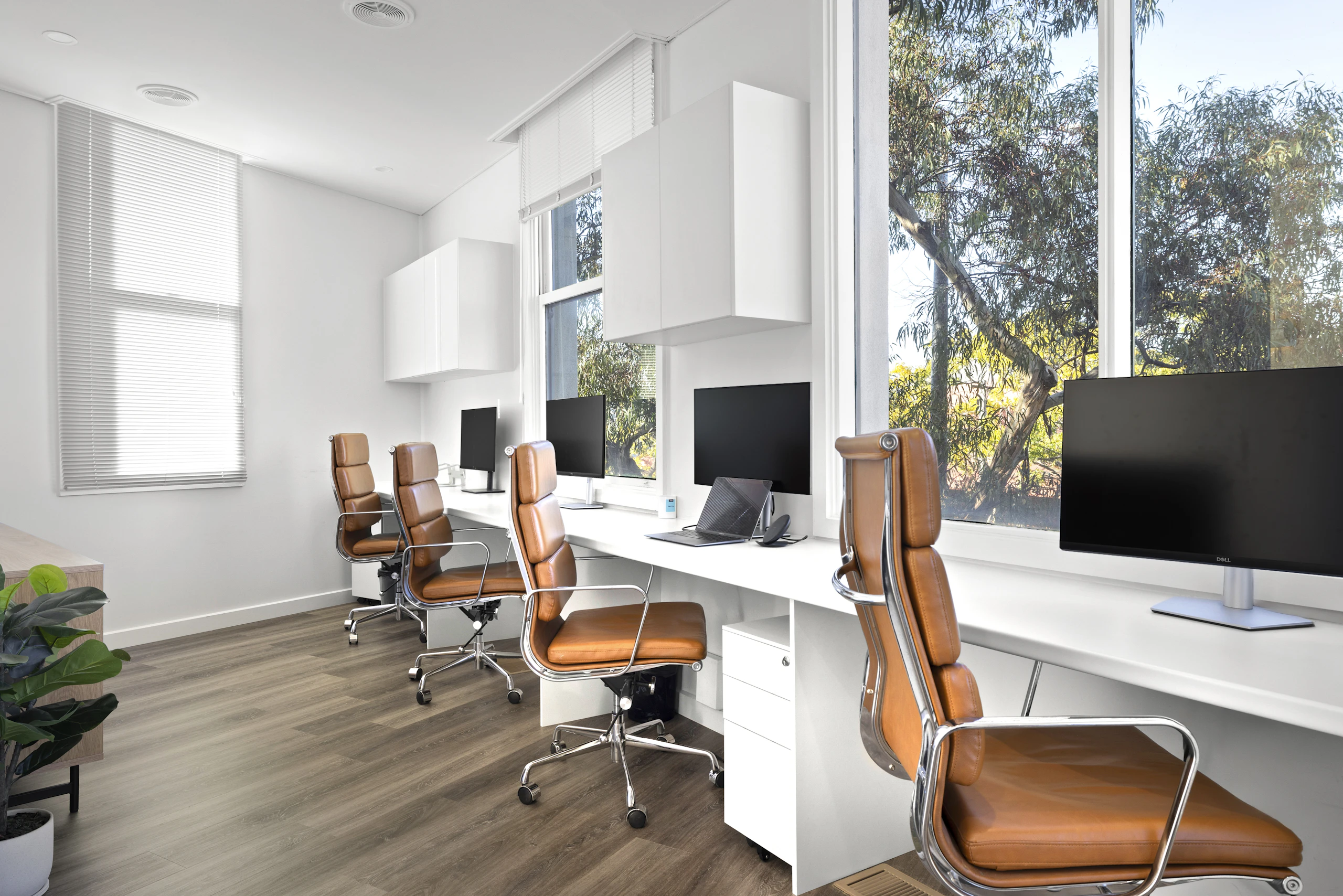 Our Offices | WHITEFOX Real Estate Australia & New Zealand | WHITEFOX