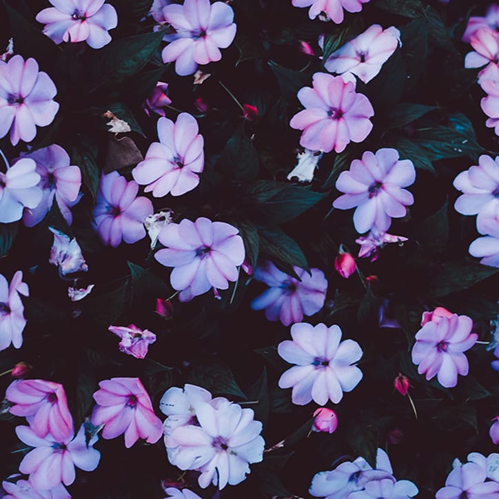 Toledo OH Board Certified Plastic Surgery | Perrysburg Breast Augmentation, Facelift, Body ...