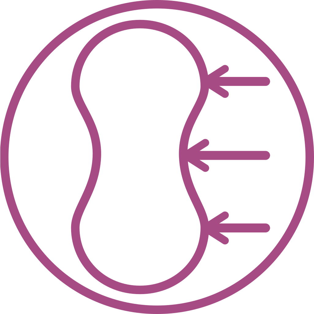 Backsense | Therapedic - Therapedic