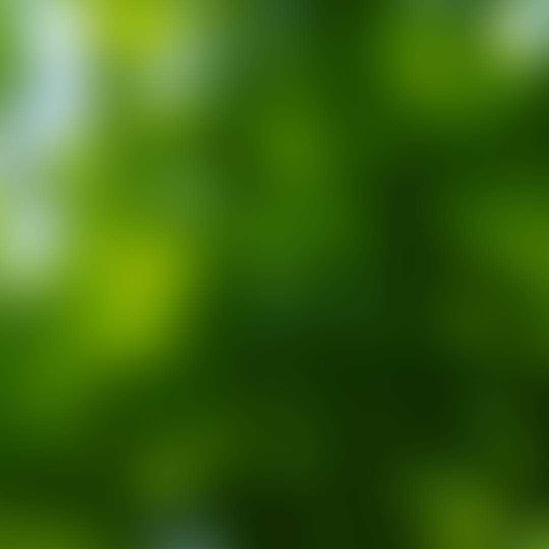 ESG |Sunlight Group | The Sunlight Group