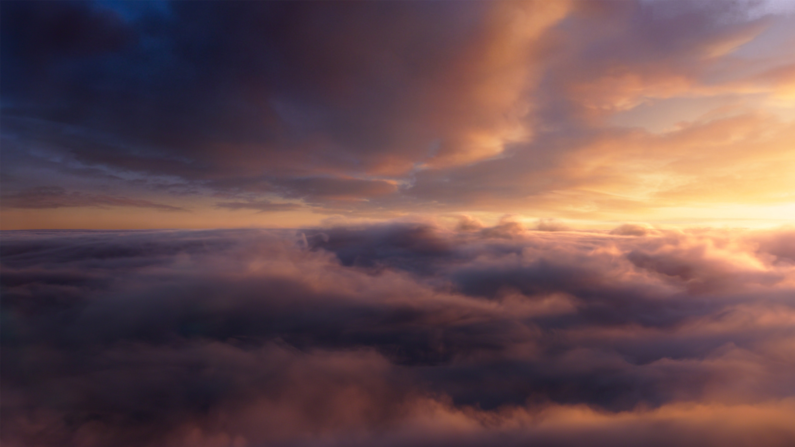 Wildwood - LAIKA Studios