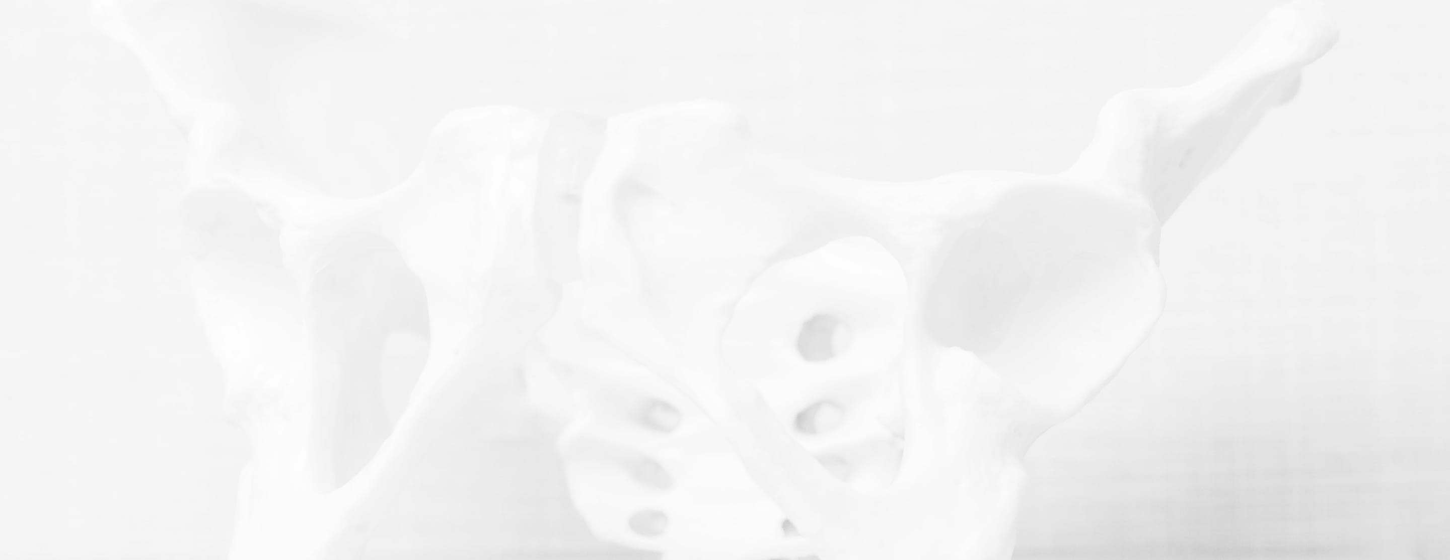 Michael Gerling MD - Voted Best Spine Surgeon NYC & NJ Spine Doctor