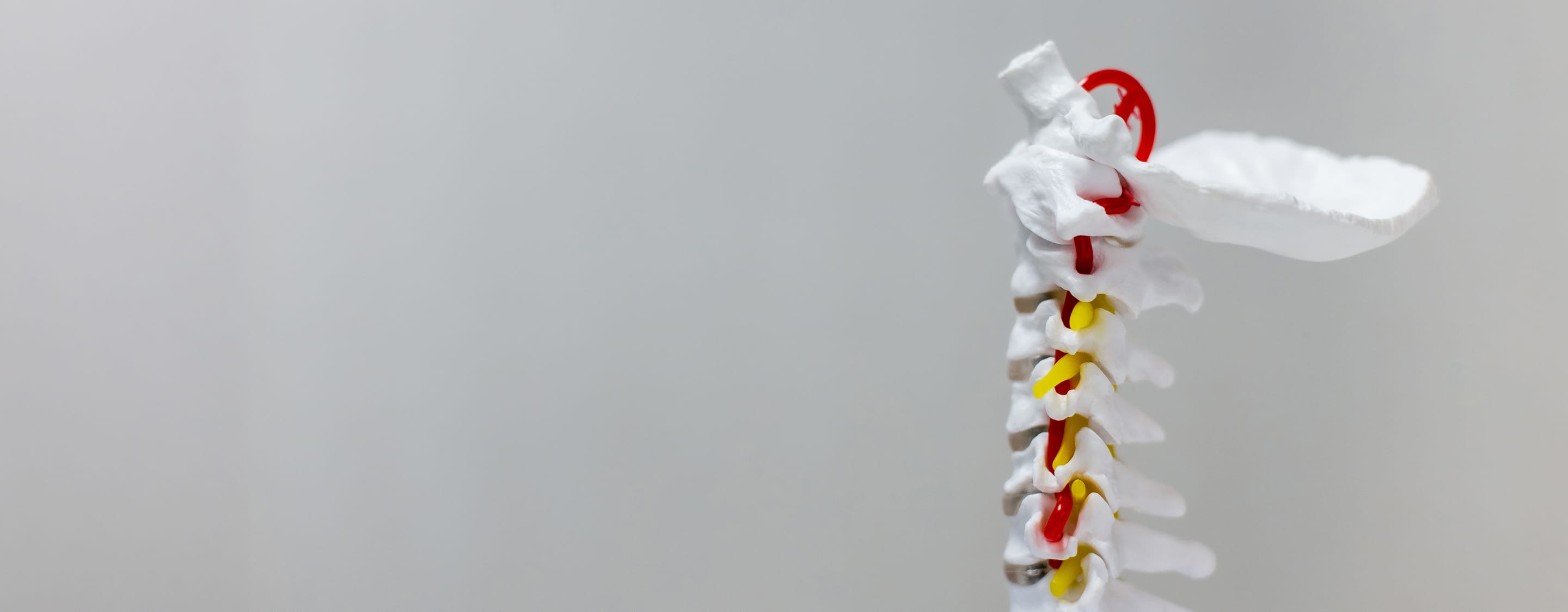 Michael Gerling MD - Voted Best Spine Surgeon NYC & NJ Spine Doctor