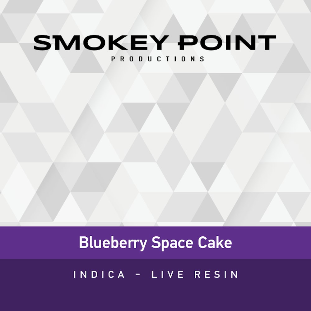 Blueberry Space Cake by Smokey Point Productions | AIRGRAFT 2