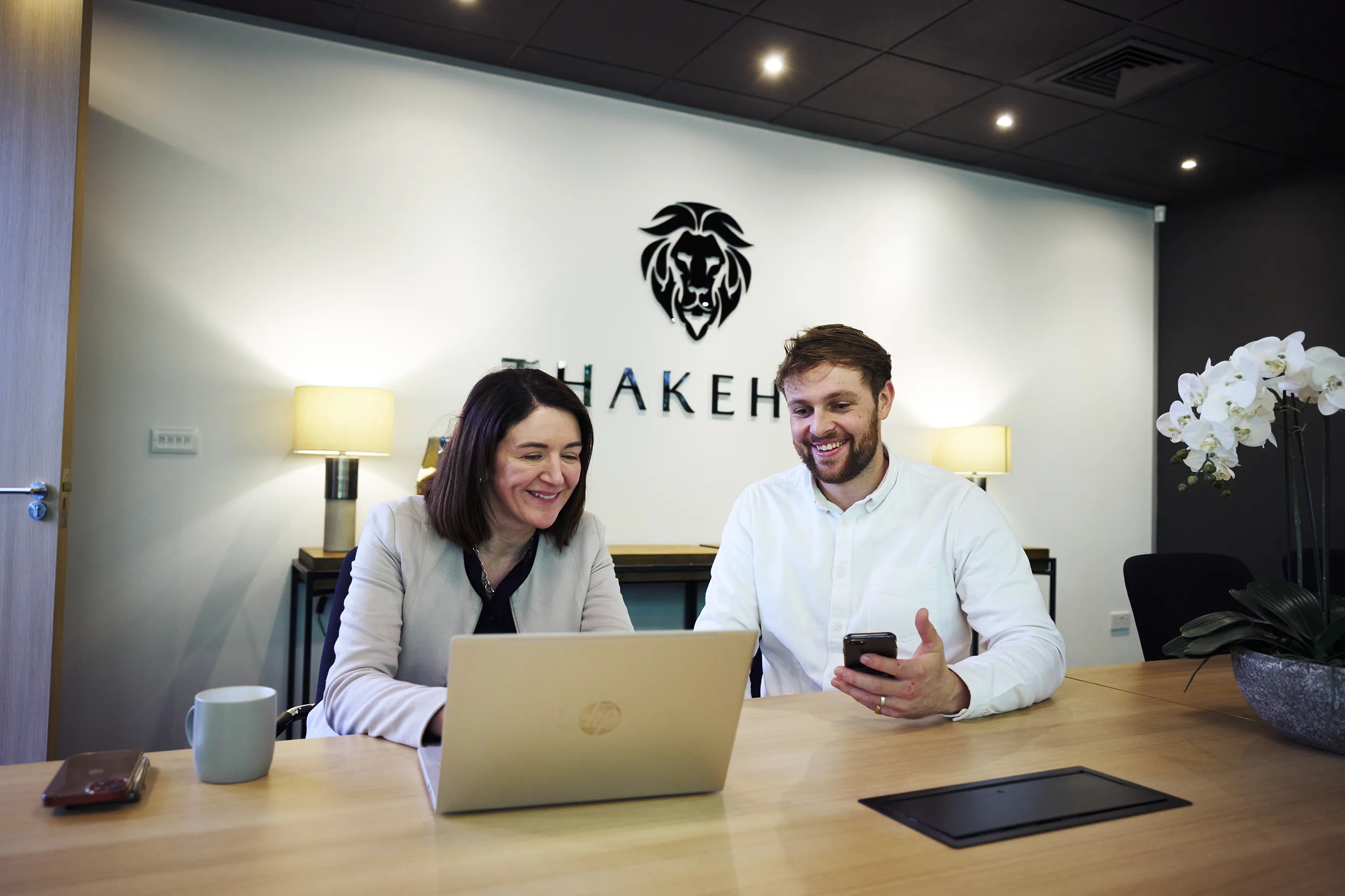 Terms and conditions for using our site