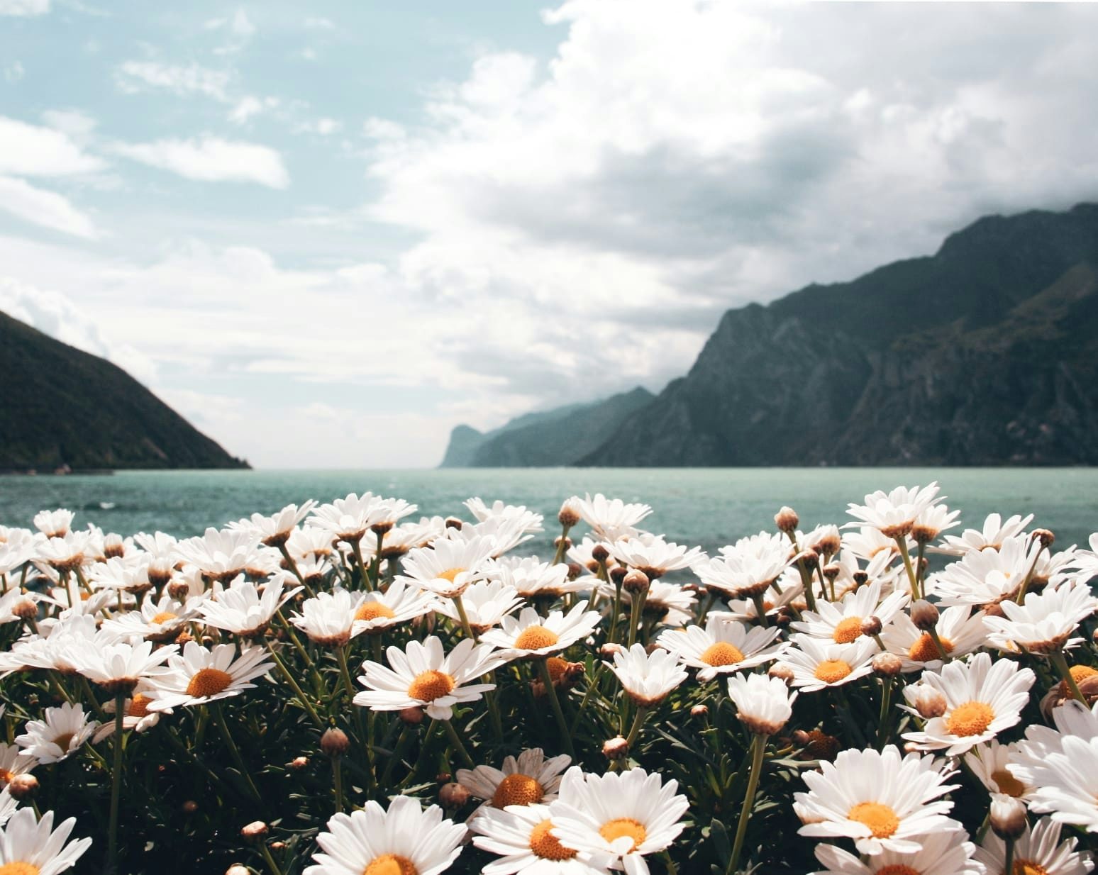 Spring on Lake Garda • Hotel Lago di Garda