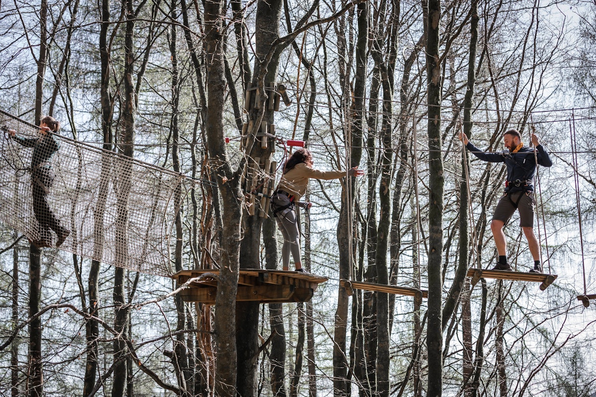 Treetop Challenge Aberfoyle | Extreme High Ropes & Zips