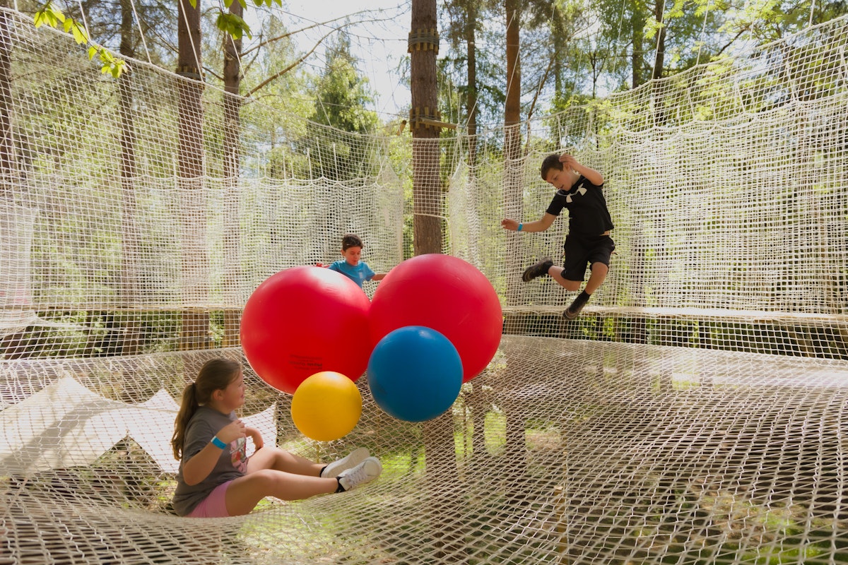 Nets Adventure Thetford Forest | Go Ape Suffolk