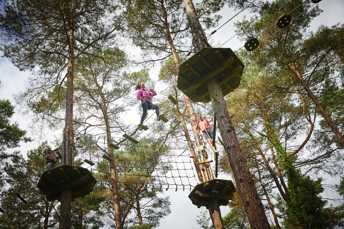 Treetop Challenge Haldon | Go Ape Devon High Ropes