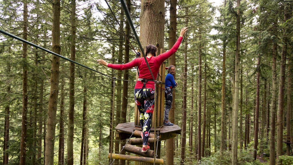 Treetop Challenge Glentress | Go Ape High Ropes