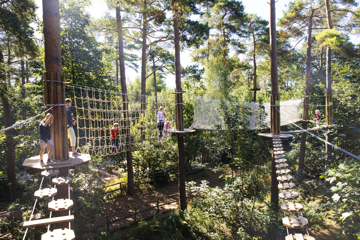 Treetop Adventure Plus Wendover Woods | Kids’ High Ropes