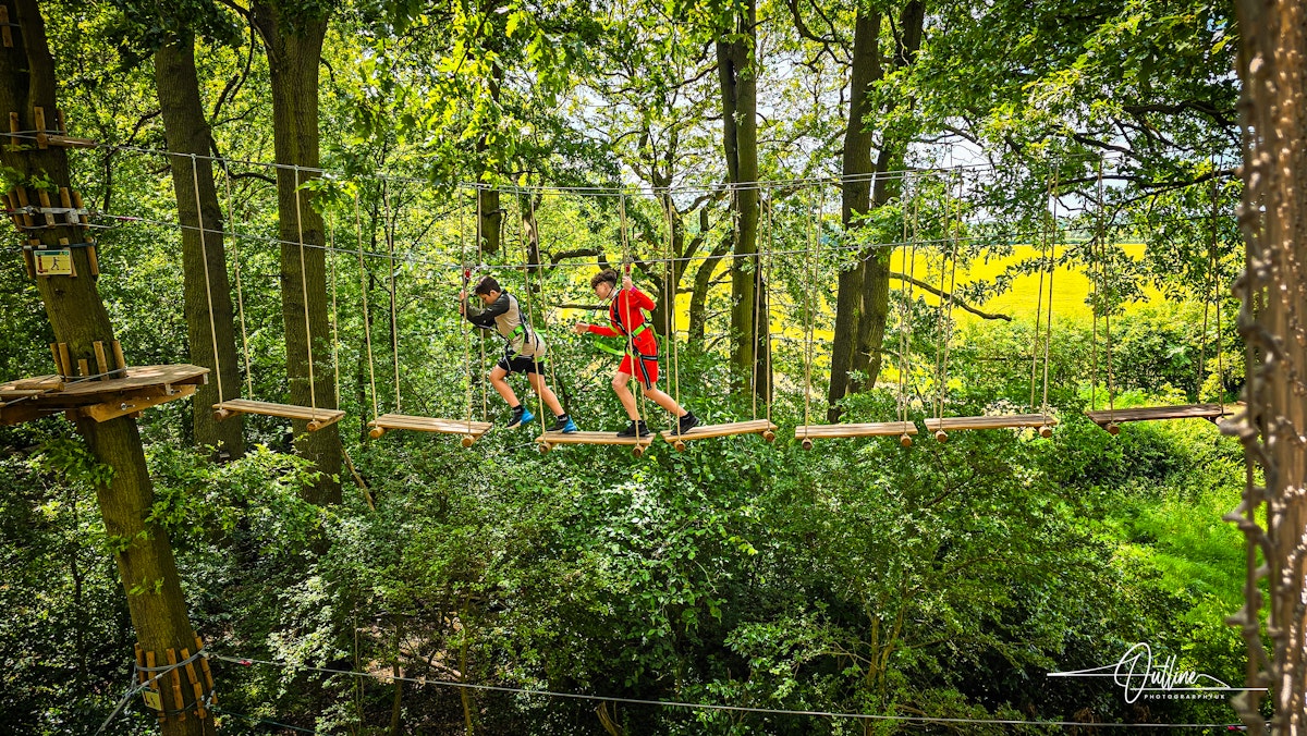 Treetop Adventure Haldon | Kids’ High Ropes Devon